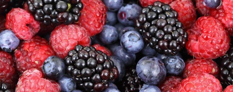 Concentration, mémoire... Quels sont les aliments bons pour le cerveau