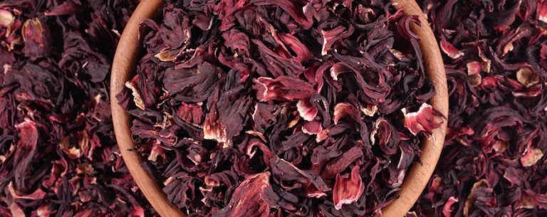 Bissap (or hibiscus), the African nectar