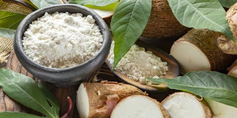 Cassava, the tuber rich in good carbohydrates: benefits, uses, dosage